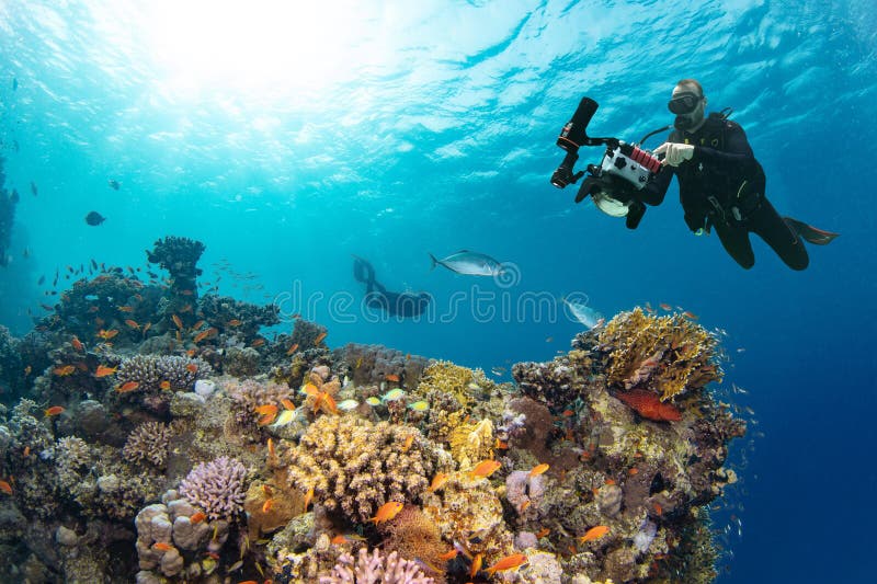 Scuba Diver Swimming in Deep Sea with Sunrays Editorial Photo - Image ...