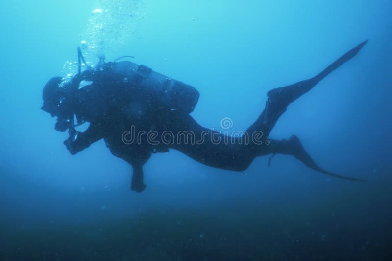 Scuba Diver Swimming Underwater Explores Reef and Examines Seabed Stock ...