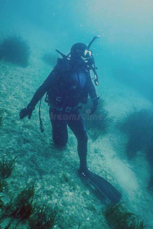 Scuba Diver Swimming Underwater Explores Reef and Examines Seabed Stock ...