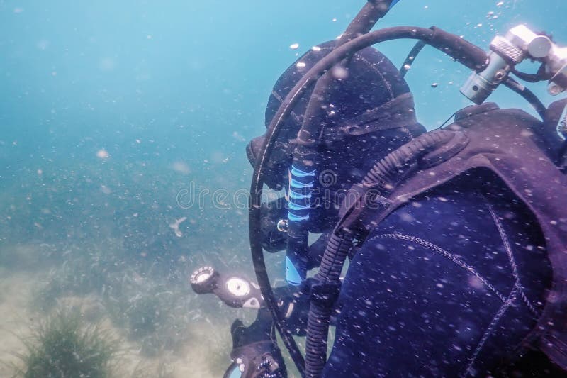 Scuba Diver Swimming Underwater Explores Reef and Examines Seabed Stock ...