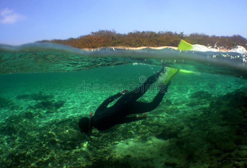 Scuba Diver Under the Water. Stock Photo - Image of green, recreation ...