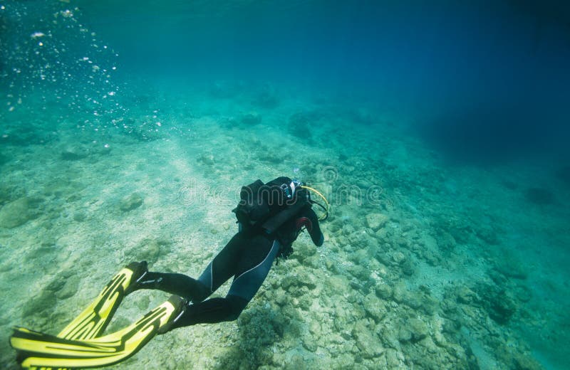 Scuba Diver Diving Underwater Stock Image - Image of depth, adventure ...
