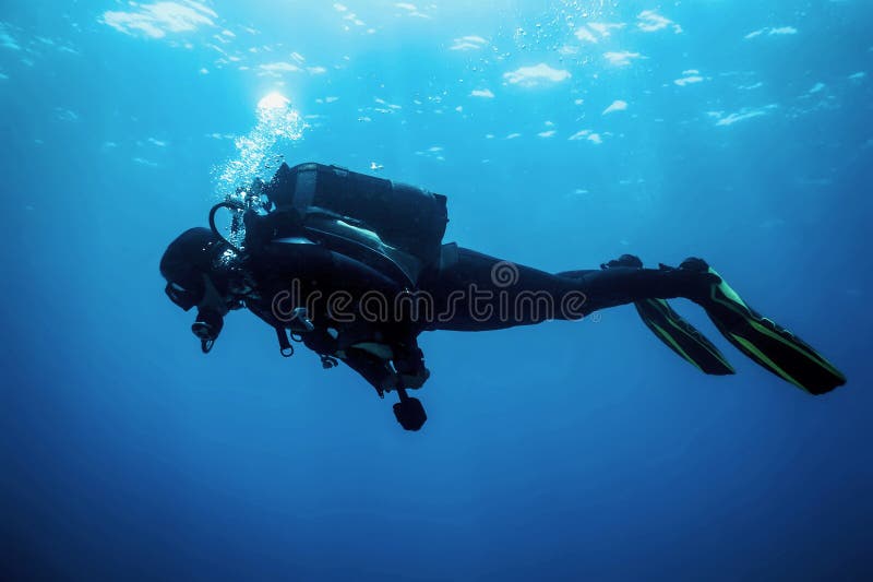 Scuba Diver Water Surface stock photo. Image of dive - 316613362