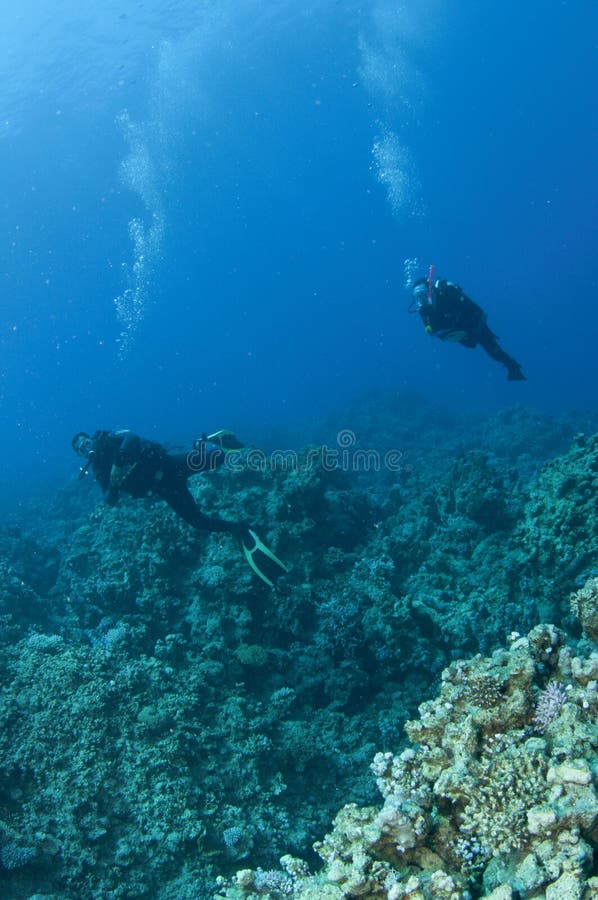 Three scuba divers stock photo. Image of travel, tropical - 15679652