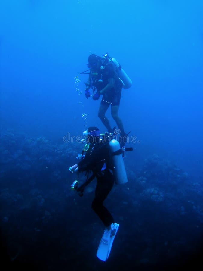 Scuba Divers Reef Wall Sabang Philippines Stock Image - Image of diver ...