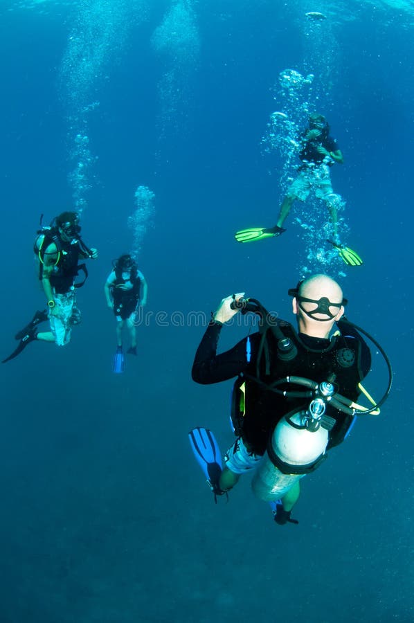Scuba Divers Under the Water Stock Image - Image of fins, sport: 19846417
