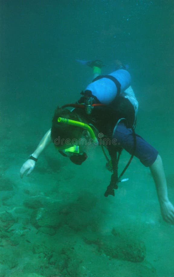 Scuba Diving stock image. Image of marine, swim, ocean - 265457