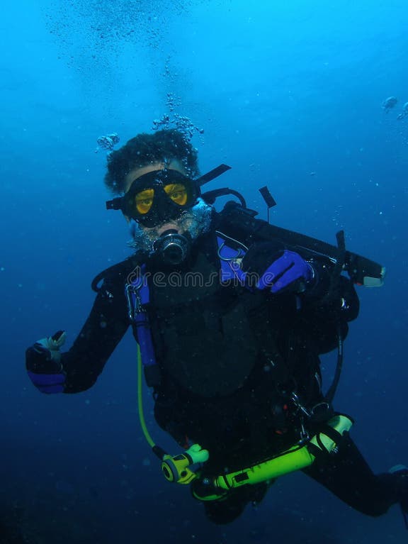 Scuba diving stock image. Image of ocean, nature, blue - 29554441