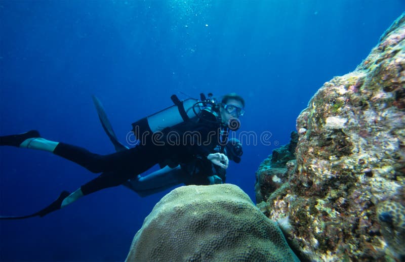 126,850 Scuba Diving Stock Photos - Free & Royalty-Free Stock Photos ...