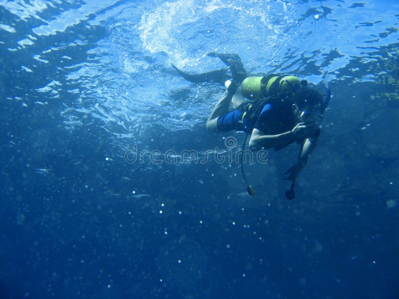 Scuba diving adventure stock photo. Image of breathe, caribean - 2677468