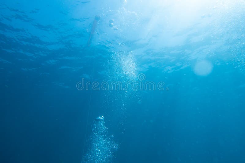Scuba Diving Bubbles Rising To the Surface Stock Photo - Image of ...