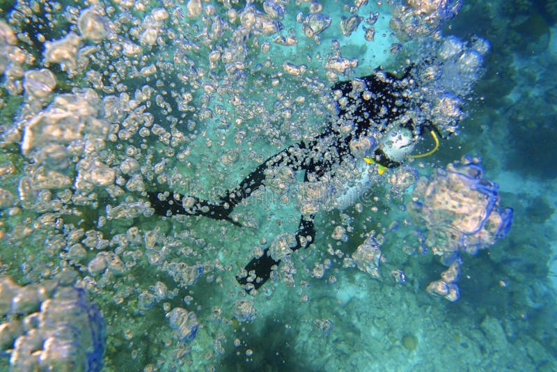 Scuba Diver Bubbles Rising To the Surface. Stock Photo - Image of ...
