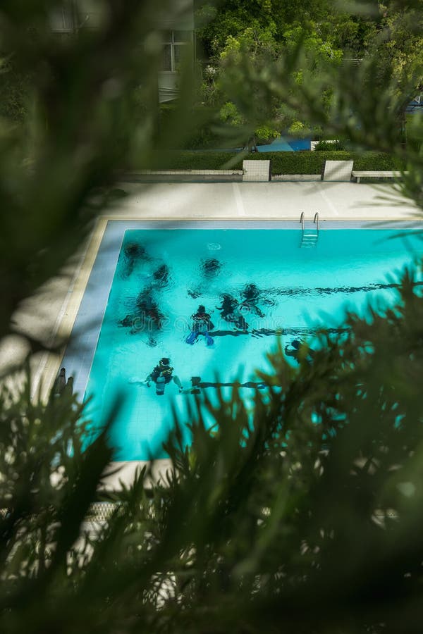 Scuba Diving Pool Section Class Stock Photo - Image of class, glass ...