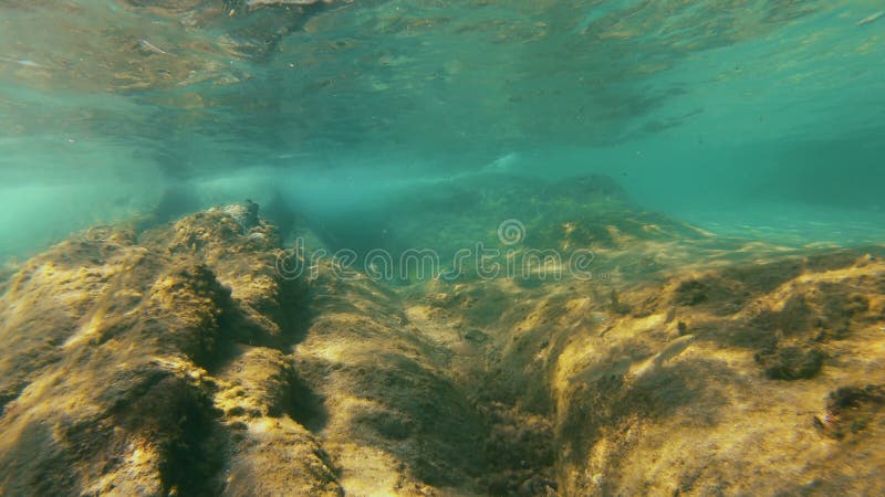 Scuba diving underwater 4k stock video. Video of light - 203978967