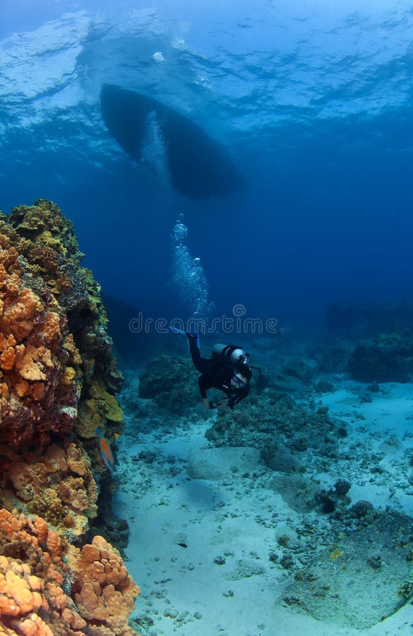 Scuba-duiker Die Onder De Boot Onderzoekt Stock Afbeelding - Image of ...