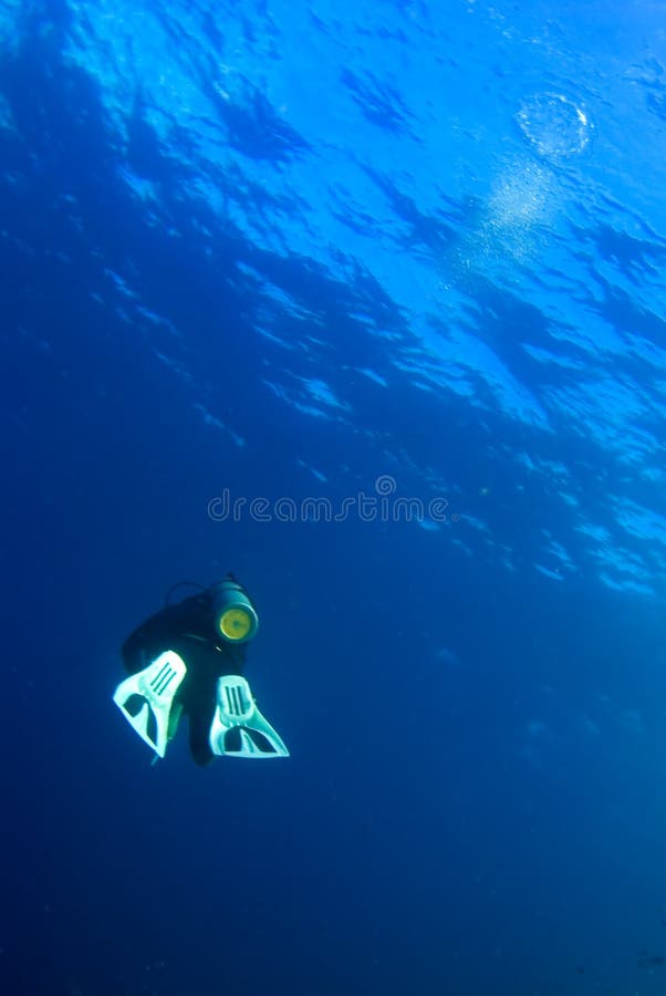 Profile of Scuba Diver with Bubbles Stock Photo - Image of tropical ...