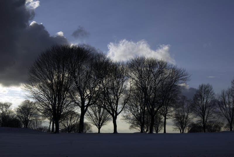 Scudding clouds over trees stock photo. Image of outdoors - 12546178