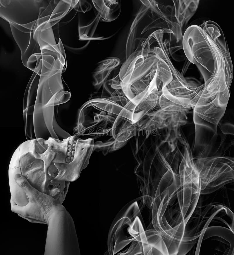 225 Scull Anatomy Stock Photos - Free & Royalty-Free Stock Photos from ...