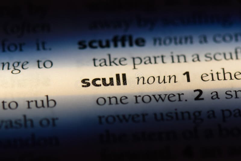 Scull stock photo. Image of closeup, printed, definition - 126617404