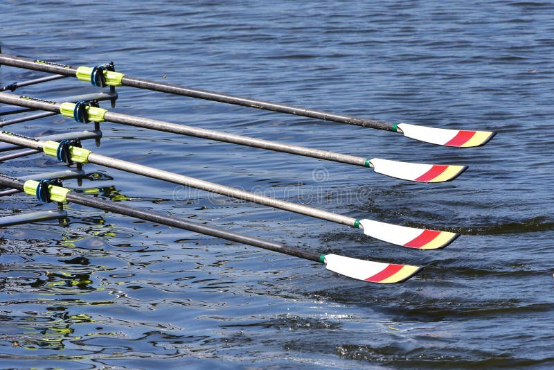 Sculls stock image. Image of paddle, competition, water - 110700813