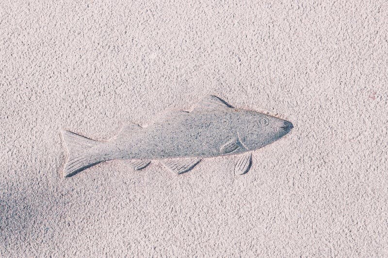 Texture Drawing Fish on a Concrete Wall Stock Photo - Image of material ...