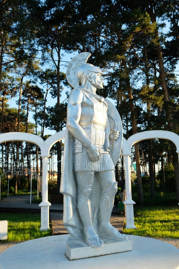 Sunlight in pine forest stock image. Image of evergreen - 223830921