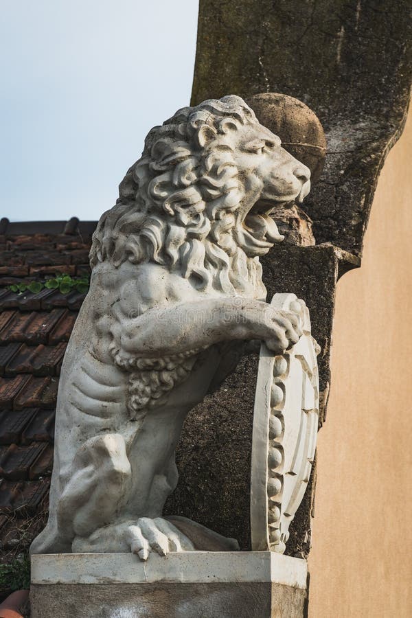 Sculpture of a Lion on a Roof Stock Photo - Image of metropolitan ...