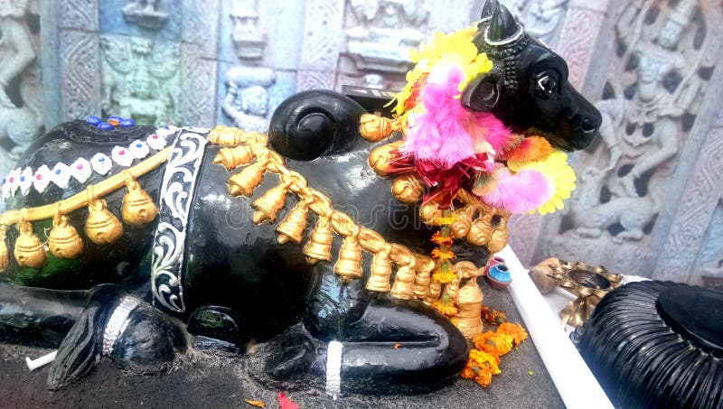 A Sculpture of the Scared Nandi Stock Photo - Image of heritage, shiva ...