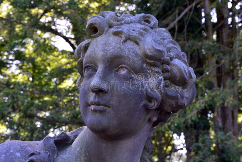 Sculpture, Statue, Tree, Head Picture. Image: 129547993