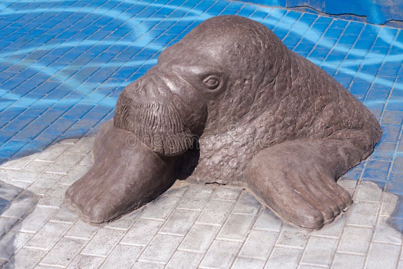 Walrus sculpture stock photo. Image of teeth, ocean, location - 33848456