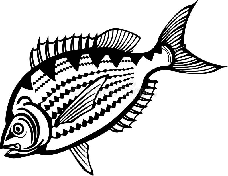 Scup - American Fishes - Logo Fish Vector, Fish Stencil Stock Photo ...