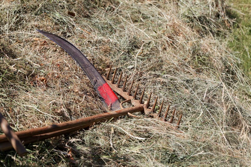 Old Style Scythe in Fresh Mowed Hay Stock Image - Image of natural ...
