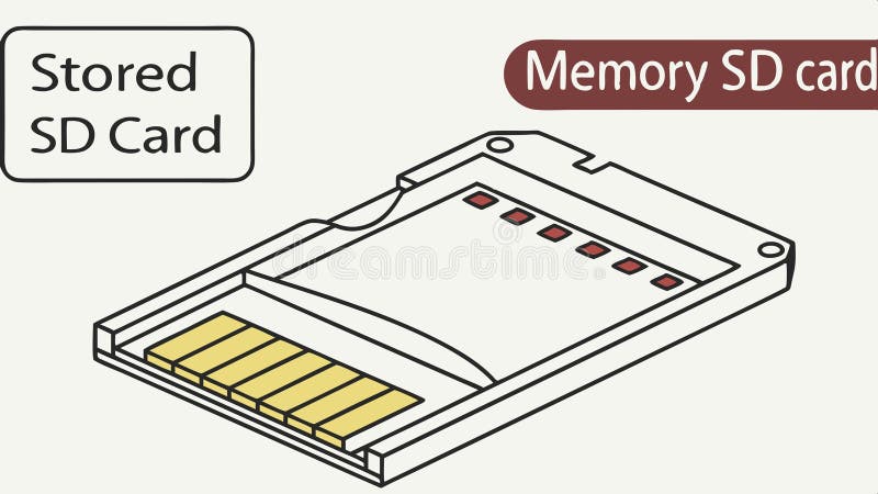 SD Card and Memory Card, Data Storage and Digital Media Vector Design ...