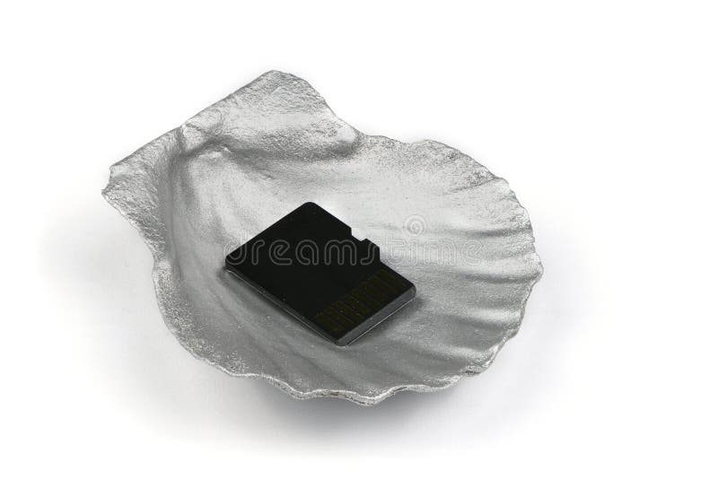 Silver Seashell Lying on a Yellow Background Stock Image - Image of ...