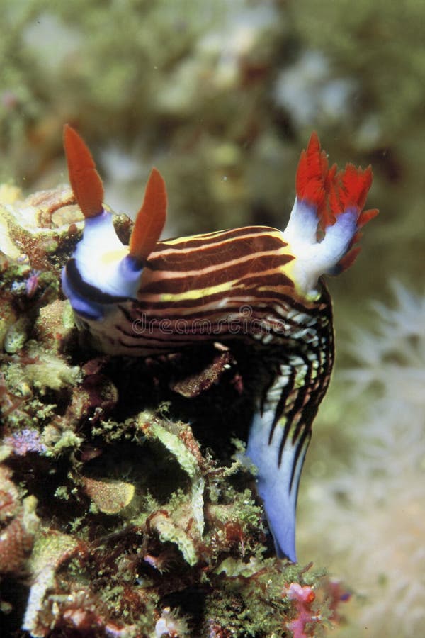 Se retenir en fonction photo stock. Image du fixation - 23109768