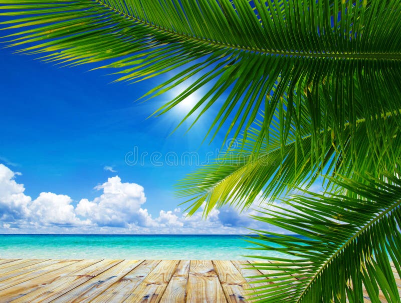 Beautiful beach stock image. Image of clean, beauty, palm - 19179215