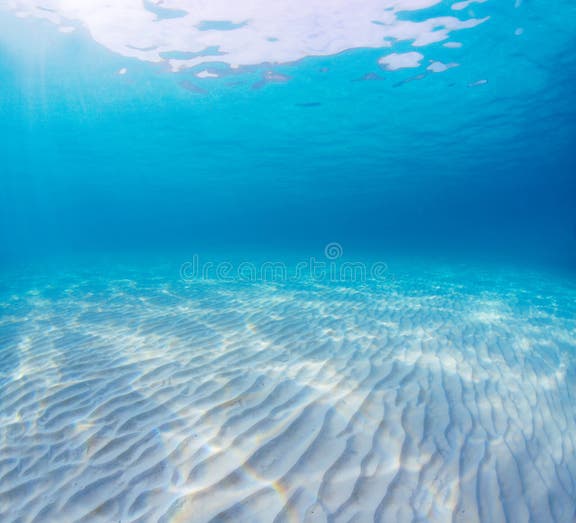 1,139 Underwater Sea Ocean Sand Ripples Stock Photos - Free & Royalty ...