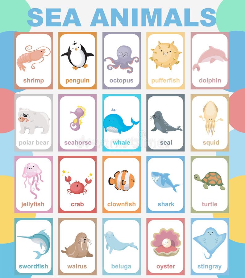 Sea Animal Poster. Educational Printable Poster Stock Vector ...