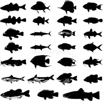 Raster Fishing Stock Illustrations – 447 Raster Fishing Stock ...