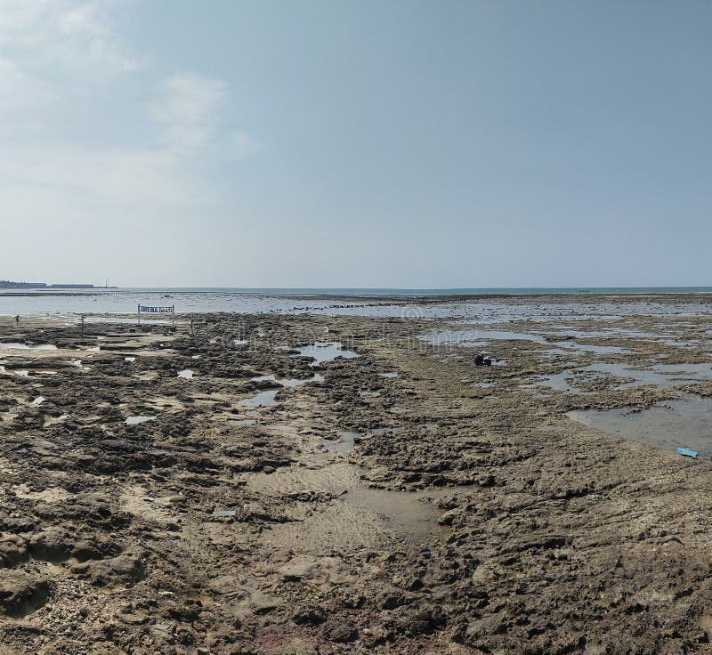 The Sea Background is Receding with a Beautiful Blue Sky. Stock Photo ...