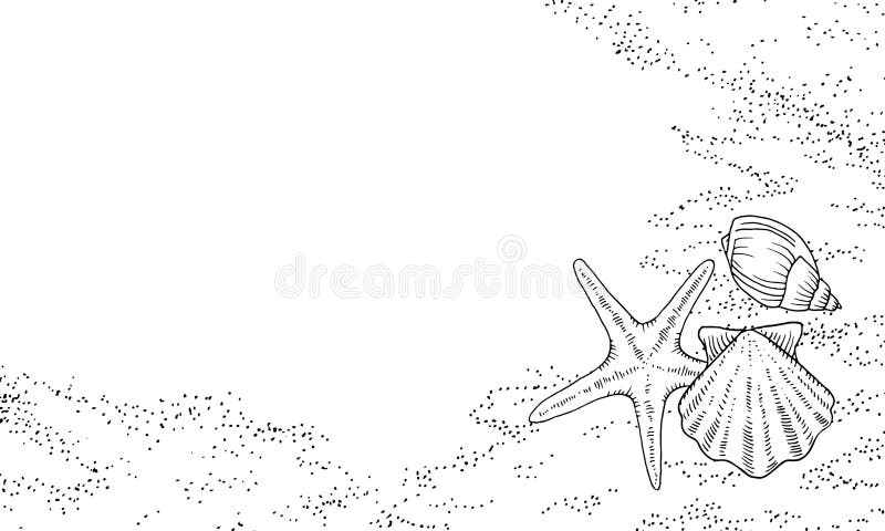 Sea Background with Sand and Shells. Vector Outline Illustration. Hand ...
