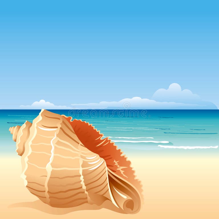 Cone Shell Stock Illustrations – 2,010 Cone Shell Stock Illustrations ...
