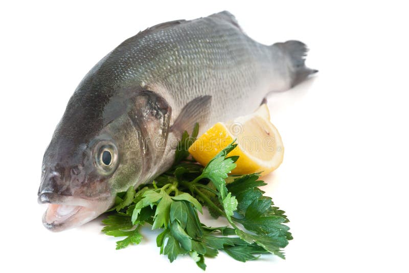 Sea-bass stock image. Image of bass, fresh, lemon, dinner - 18611259