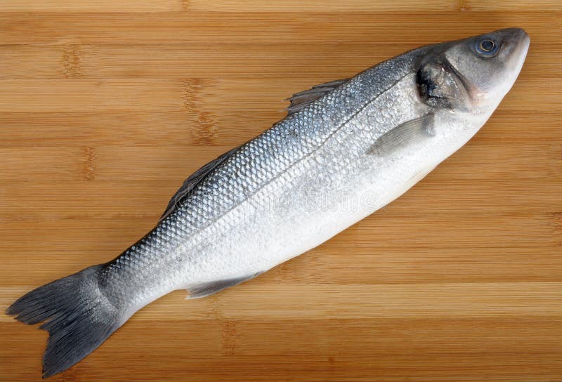 Sea bass stock photo. Image of fish, bass, head, board - 19359482