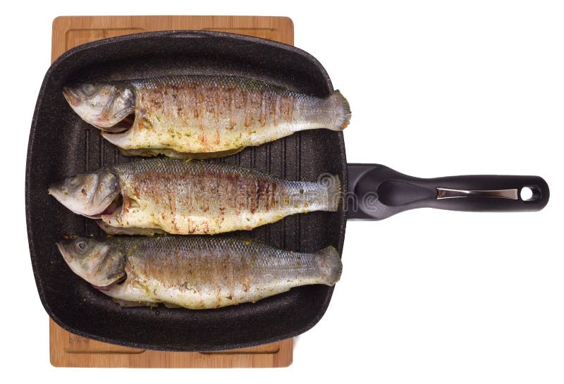 Sea bass stock image. Image of fish, gourmet, refreshment - 27142961