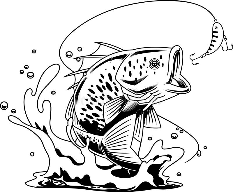 Aggressive Bass Fish Cartoon Character Leaping Toward Lure Stock Vector ...