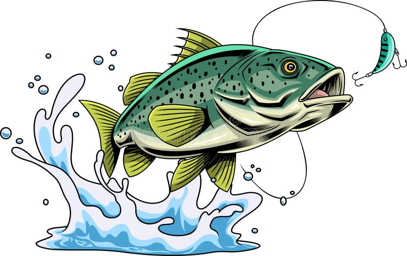 Spotted Bass Fish Cartoon Character Splashing Toward Fishing Lure Stock ...