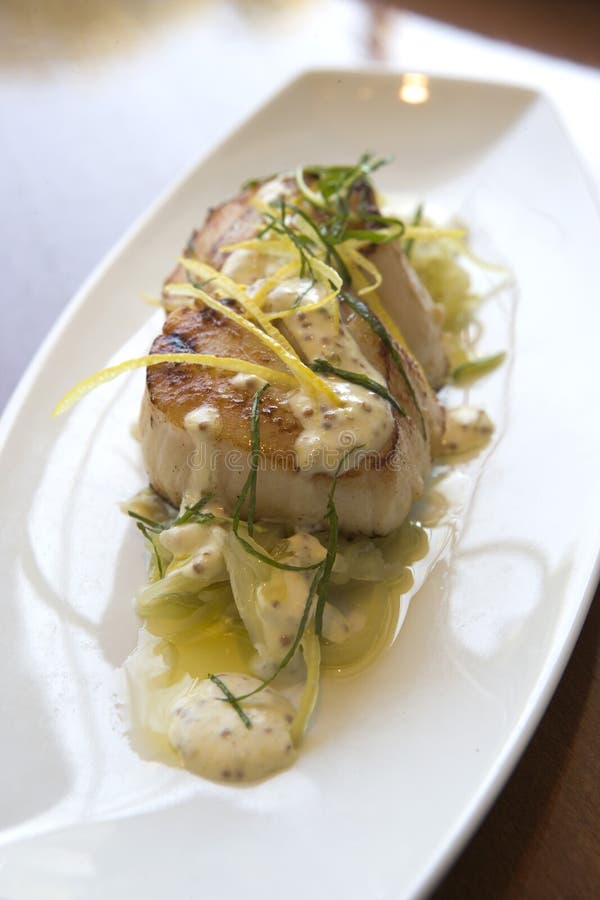 Gourmet Fish Dish stock photo. Image of greens, seafood - 22247494