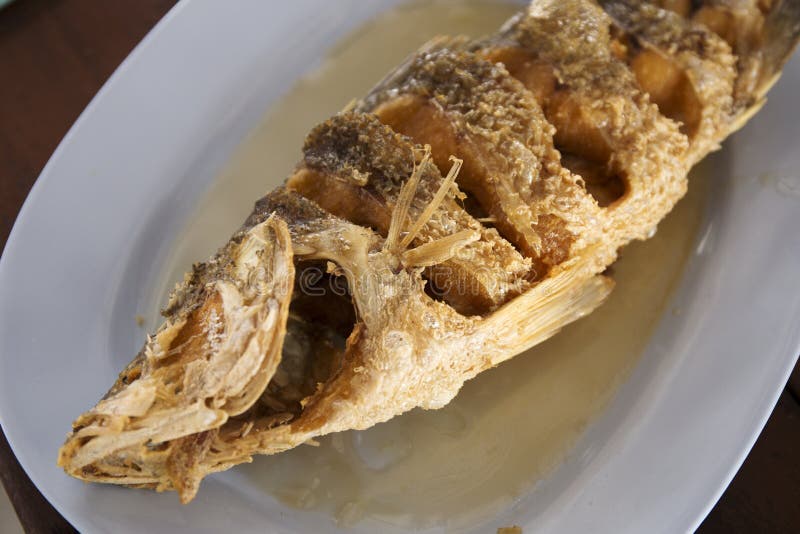 Sea Bass fish deep fried stock image. Image of material - 54588113