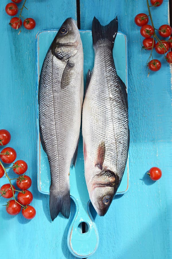 Sea bass stock image. Image of fishing, dinner, industry - 30451639